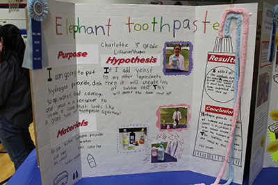 Elephant Toothpaste Science Fair Project Board